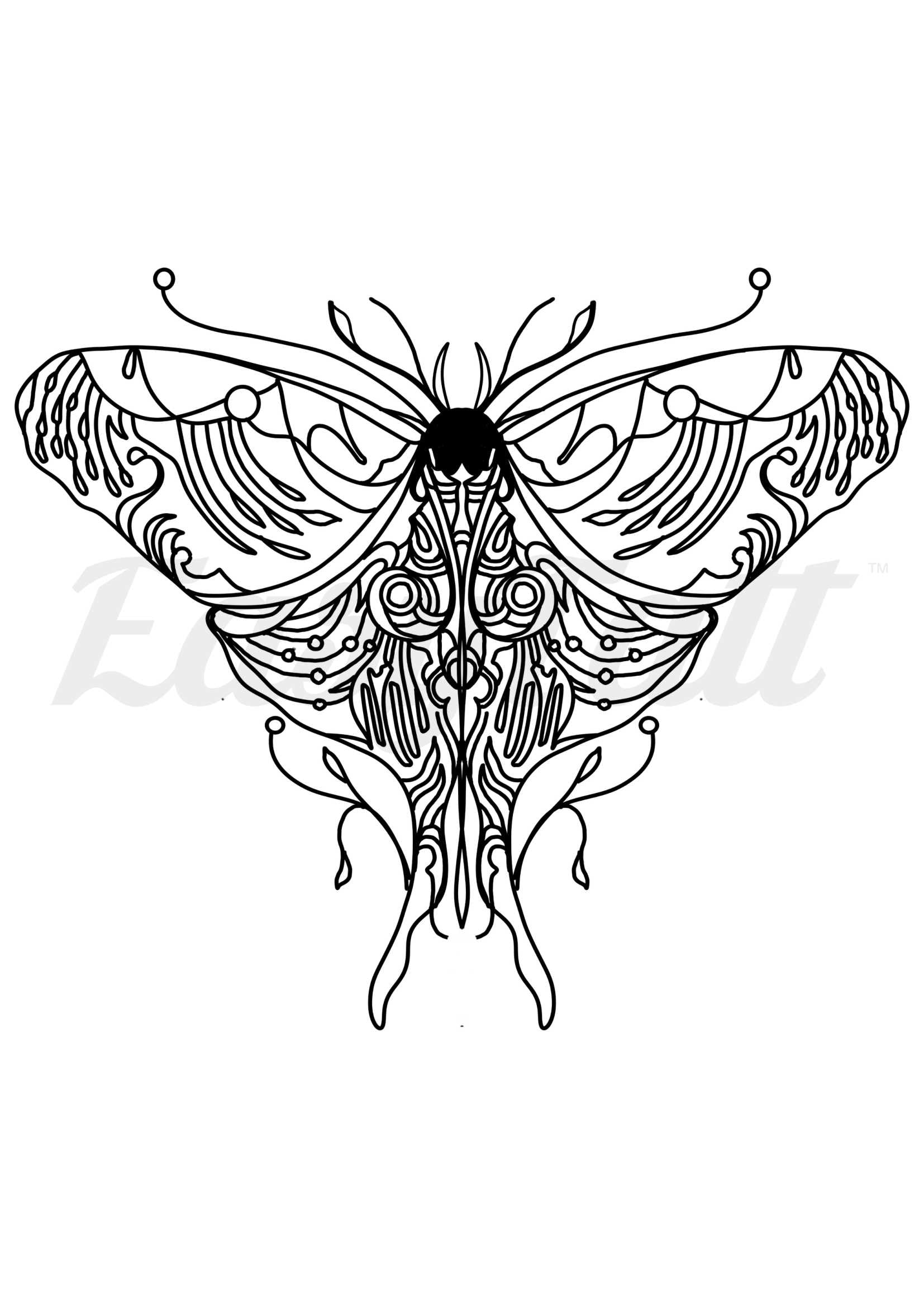 Moth Rise Outline Temporary Tattoo | EasyTatt™
