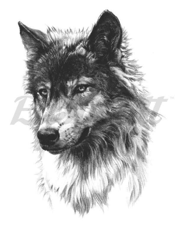 Wise Wolf Temporary Tattoo Sleeve | EasyTatt™